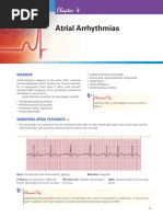 EKG Practice Test | PDF | Myocardial Infarction | Artificial Cardiac ...