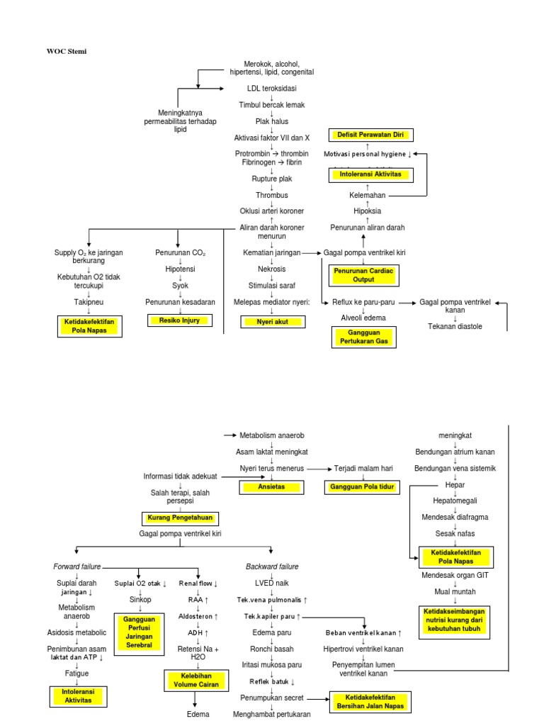 Pathway Stemi | PDF