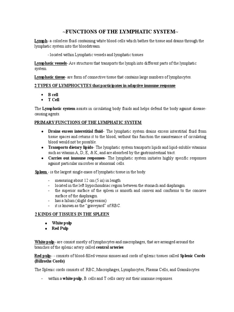 Functions of The Lymphatic System | PDF | Lymphatic System | Spleen