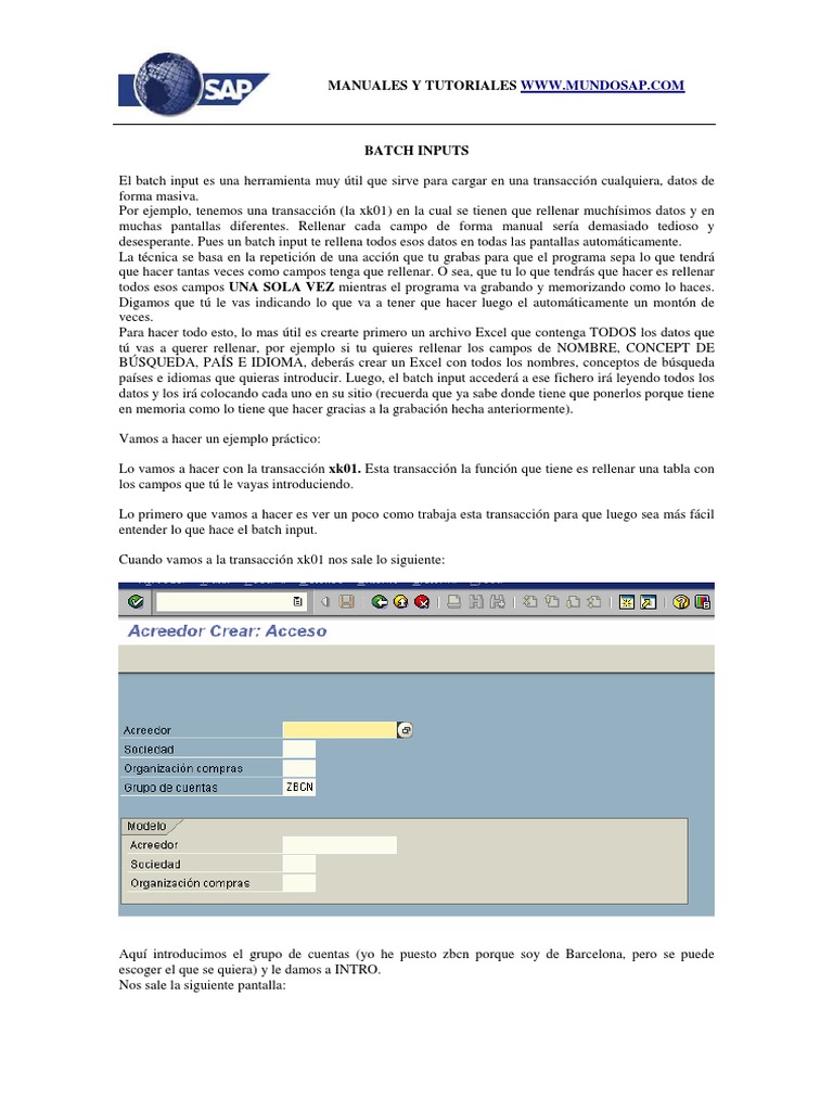 Manual de Batch Input | Descargar gratis PDF | Archivo de computadora | Programa de computadora