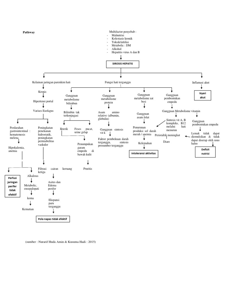 Patofisiologi dan Gejala Sirosis Hepatis | PDF
