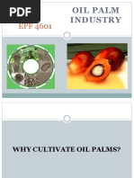 FFB Grading | PDF | Fruit | Palm Oil