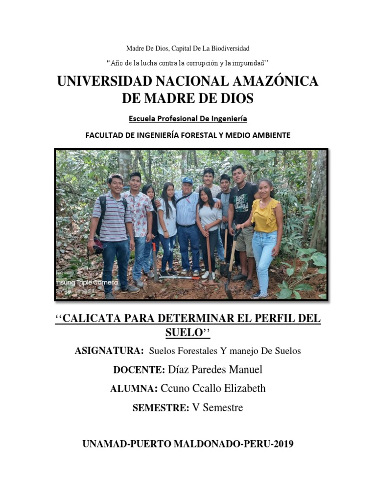 Calicata para Determinar El Perfil Del Suelo PDF | PDF | Naturaleza