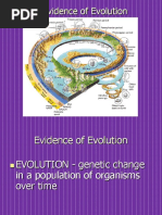 Evolution Evidence of Answer Key | PDF