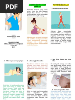 Leaflet Dismenore Fix | PDF