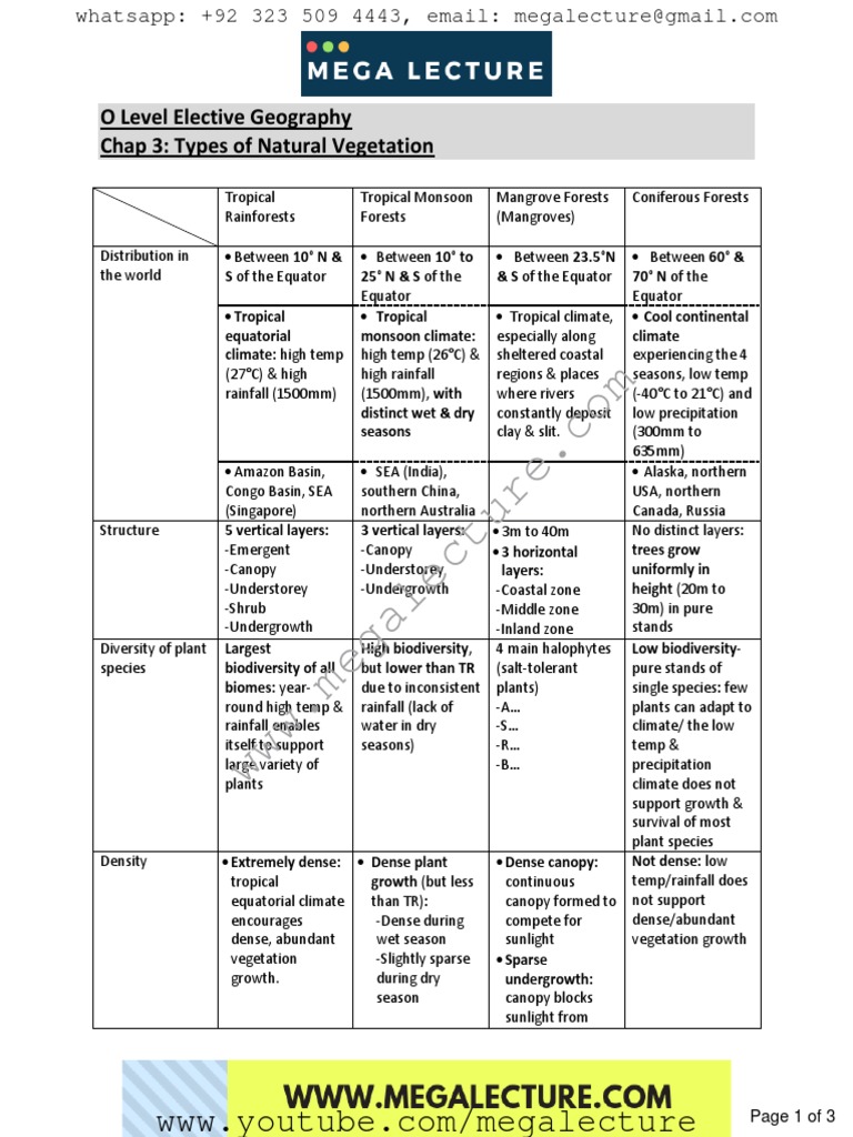 Forest O Level Geography.. | PDF | Trees | Rainforest