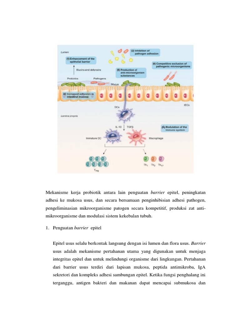 Mekanisme Kerja Probiotik | PDF