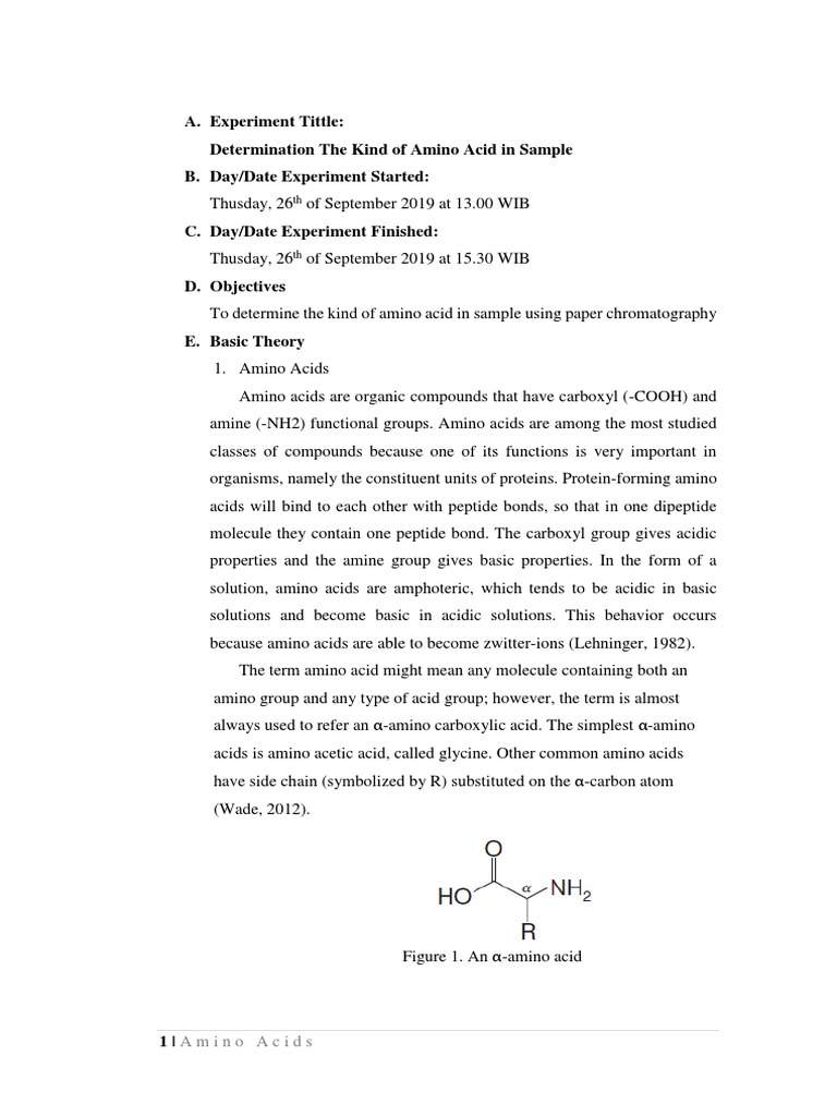 Amino Acids Download Free Pdf Elution Thin Layer Chromatography