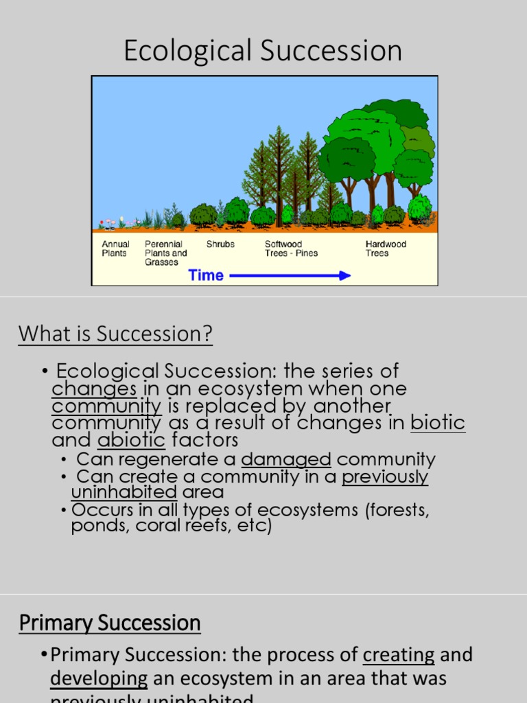 Ecological Succession | PDF | Ecosystem | Conservation