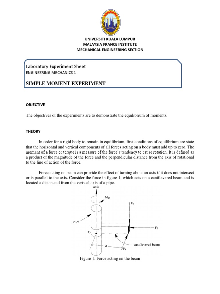 Simple Moment Experiment | PDF | Torque | Rotation Around A Fixed Axis