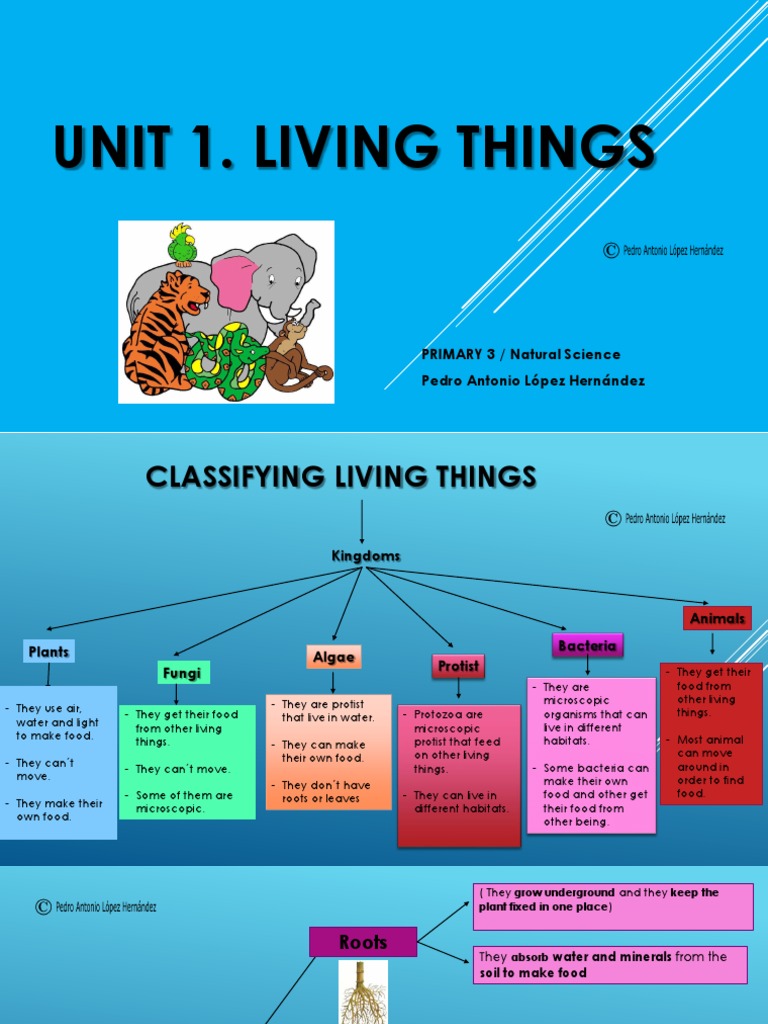 Unit 1. Living Things: PRIMARY 3 / Natural Science Pedro Antonio López ...