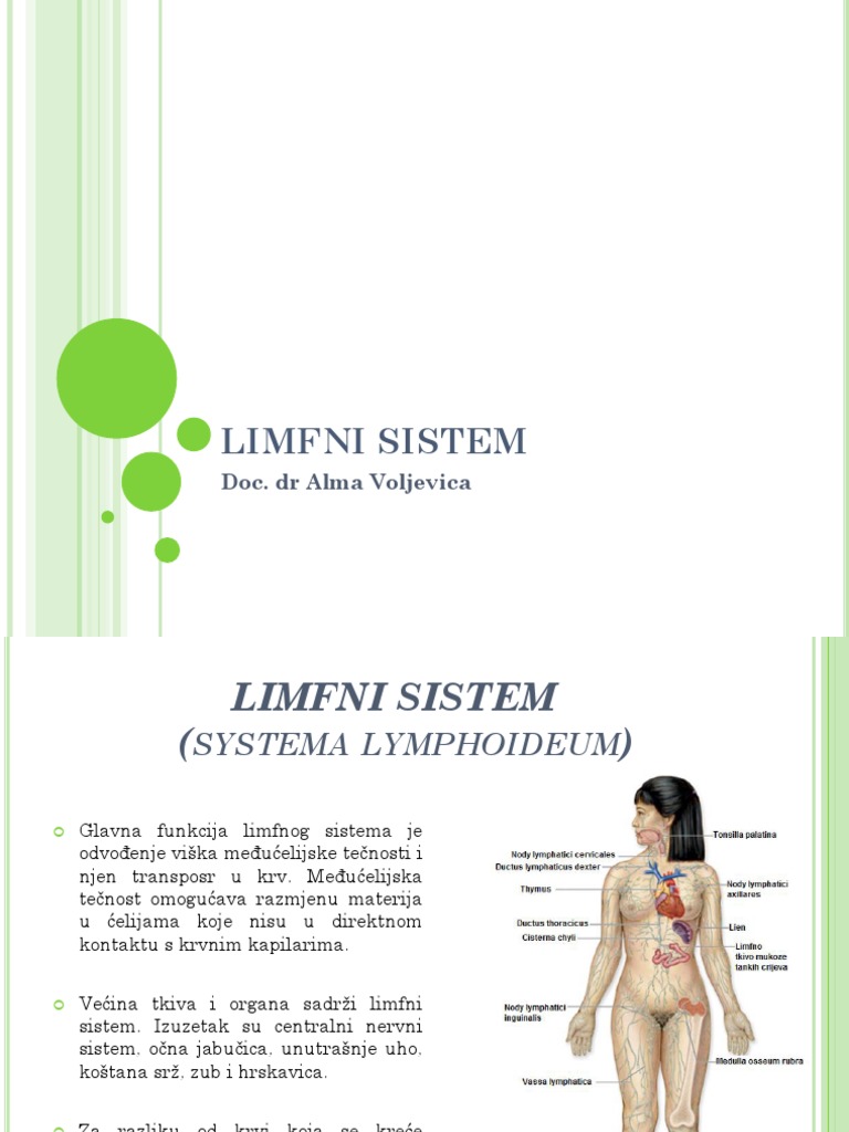 Limfa | PDF