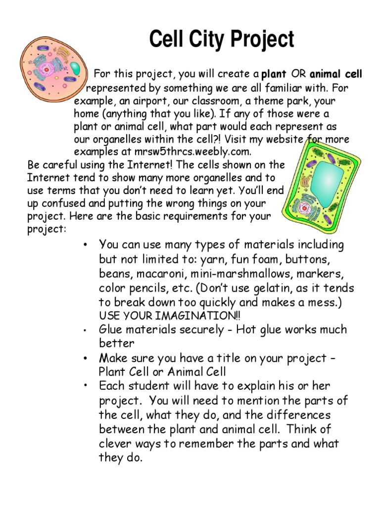Cell City Project | Cytoplasm | Endoplasmic Reticulum
