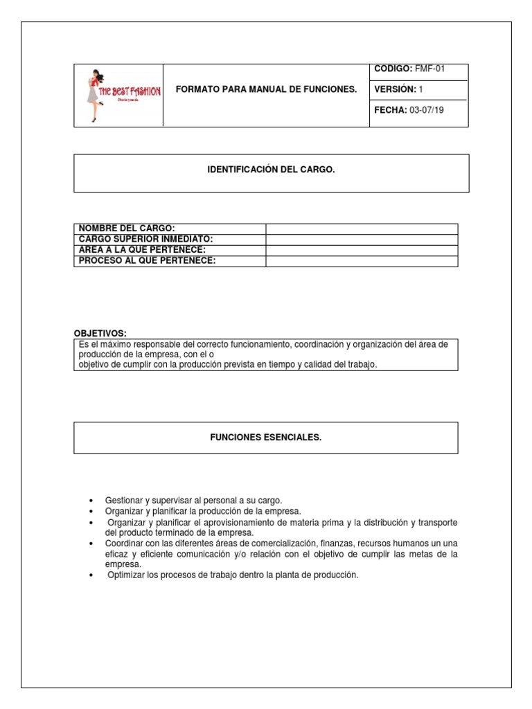 Formato para Manual de Funciones | PDF