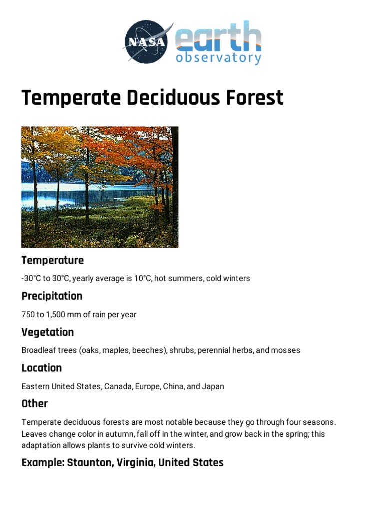 Temperate Deciduous Forest: Temperature Precipitation Vegetation ...