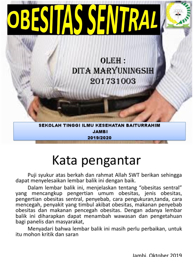 Obesitas Sentral Materi | PDF