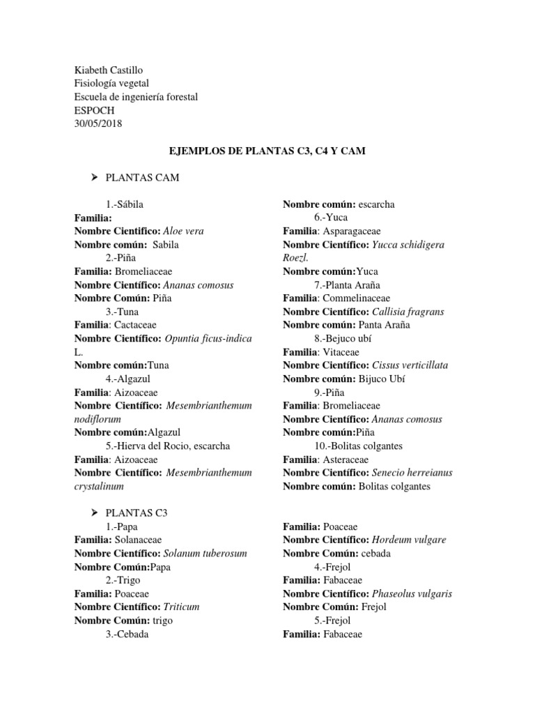 Plantas C3 | PDF | Plantas | Organismos