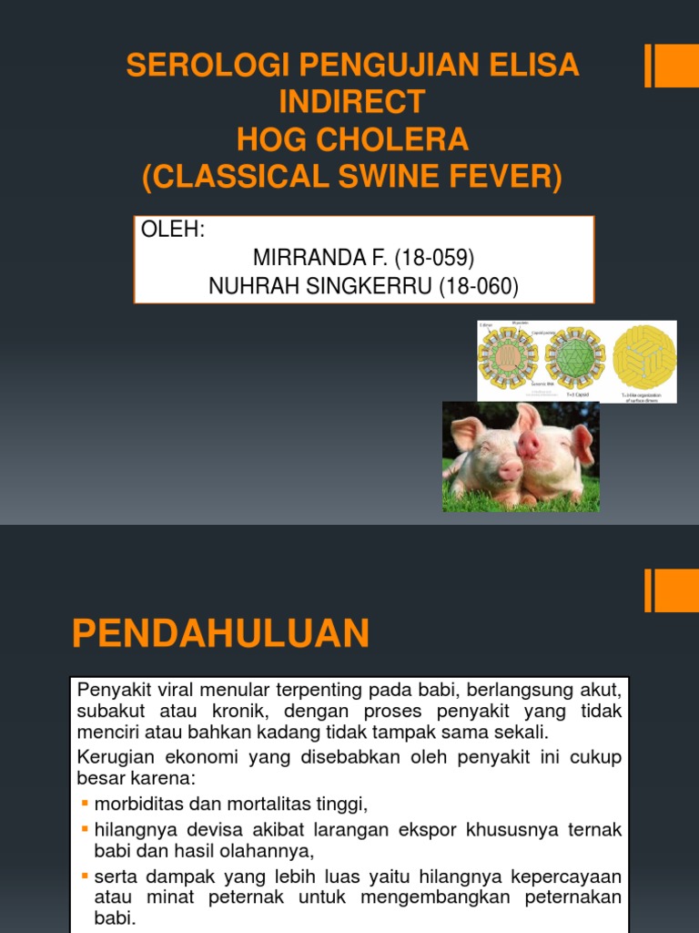 Hog Cholera Fix 1 | PDF