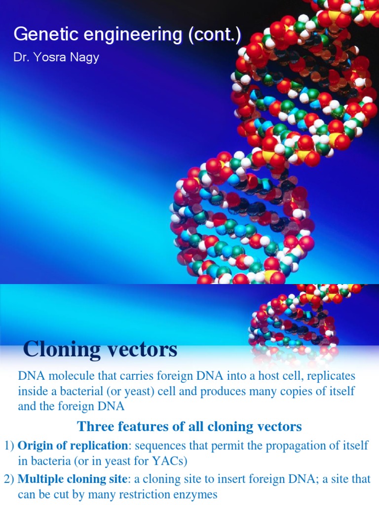Cloning Vectors and Genetic Engineering | PDF | Molecular Cloning ...