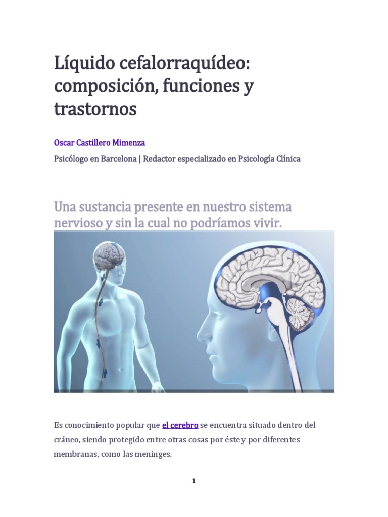 Líquido cefalorraquídeo: composición, funciones y trastornos | Fluido ...