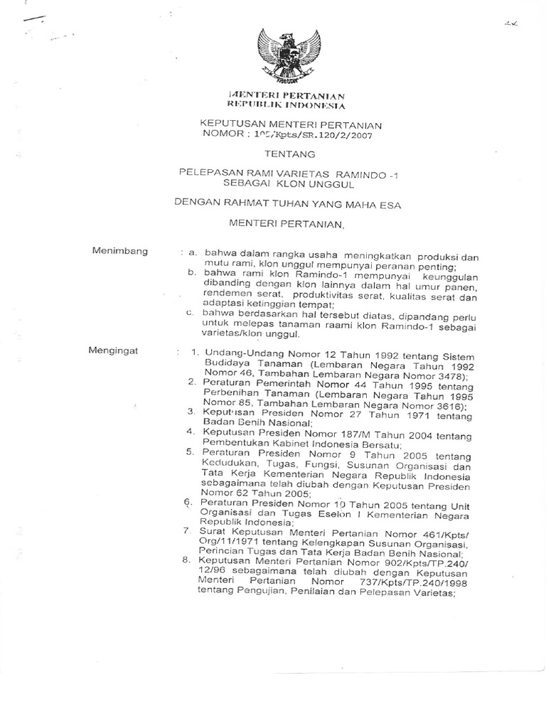 Rami - Ramindo - 1 | PDF