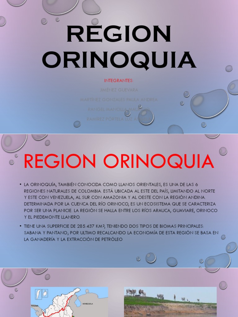 Descubre la Región Orinoquía de Colombia | PDF | Ciencias de la Tierra ...