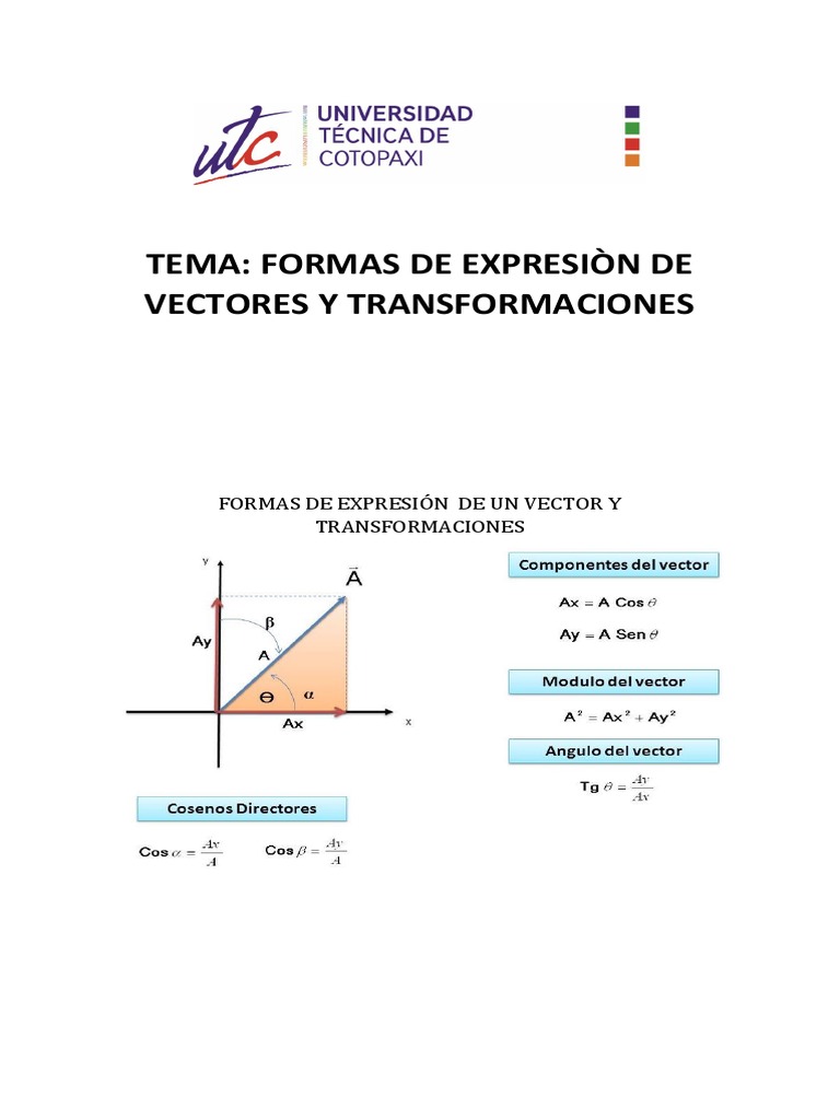 FORMAS DE EXPRESIÓN DE UN VECTOR