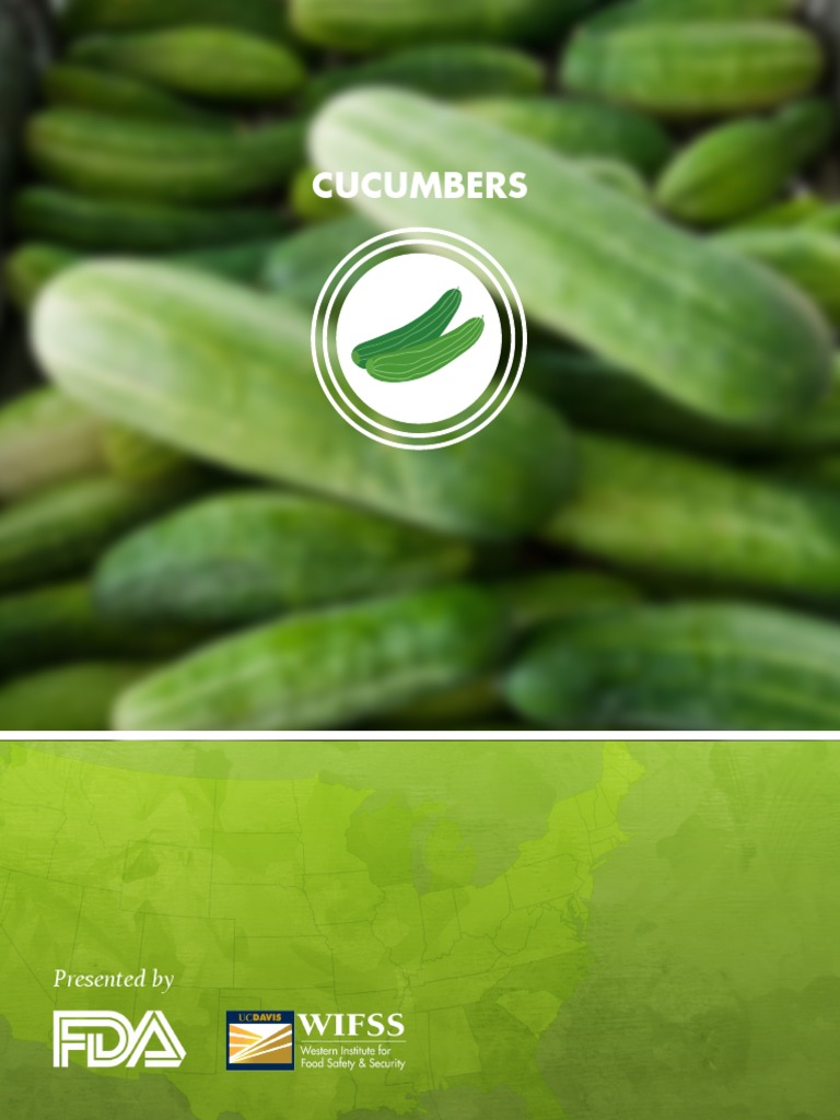 Cucumbers PDF PDF | PDF | Cucumber | Mulch