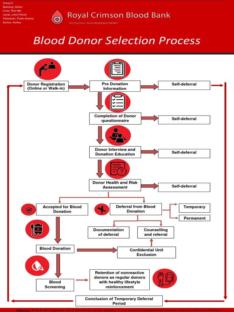 Blood Donor Selection Process | PDF | Blood Donation | Hematology