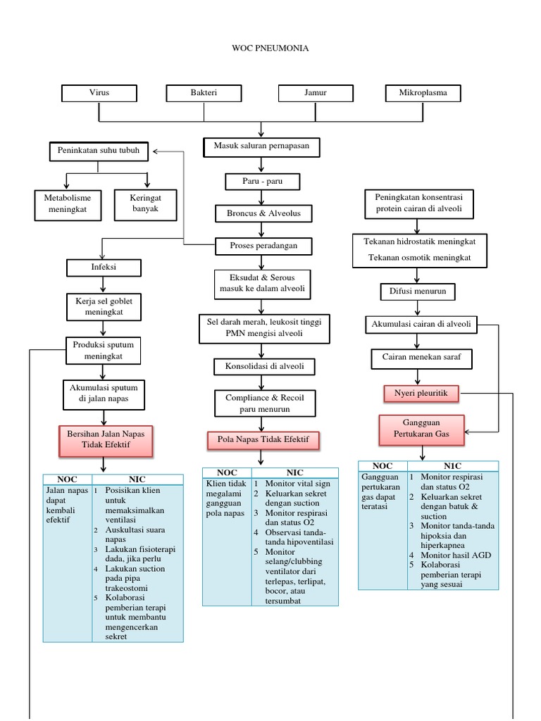 Woc Pneumonia | PDF