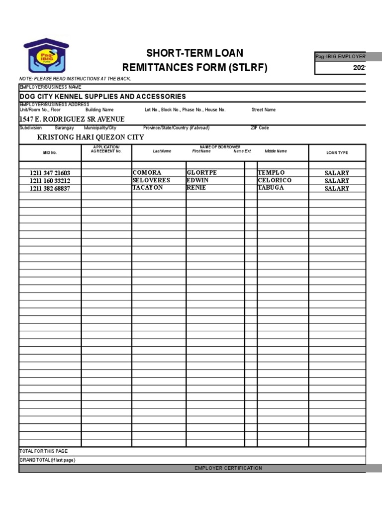 Analysis of a Short-Term Loan Remittances Form for Pag-IBIG Employer ...