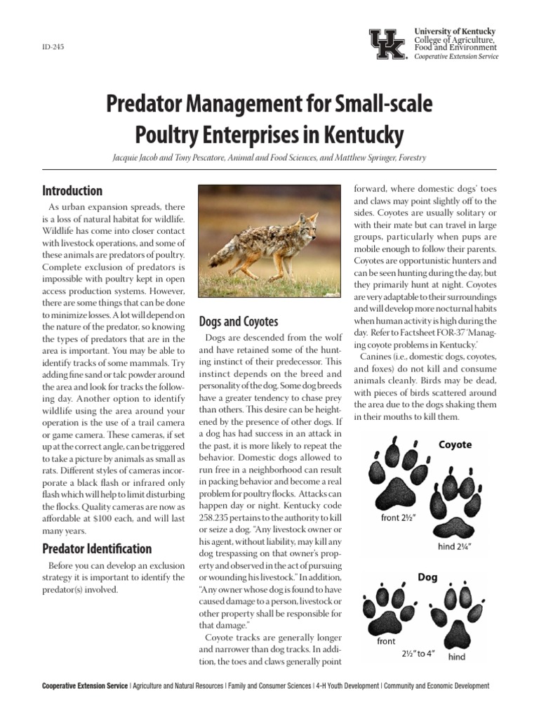 Predator Management For Small-Scale Poultry Enterprises in Kentucky ...