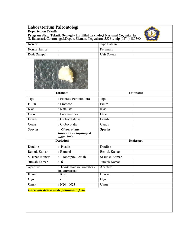 Fosil Bentonik | PDF