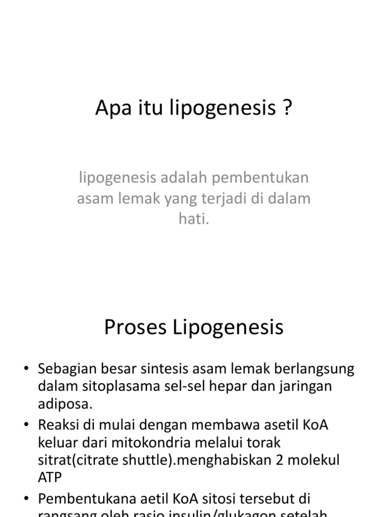 Proses Lipogenesis dan Lipolisis | PDF