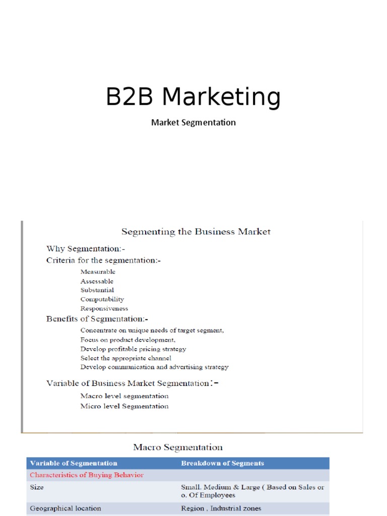 B2B Market Segmentation Guide | PDF | Market Segmentation | Microeconomics