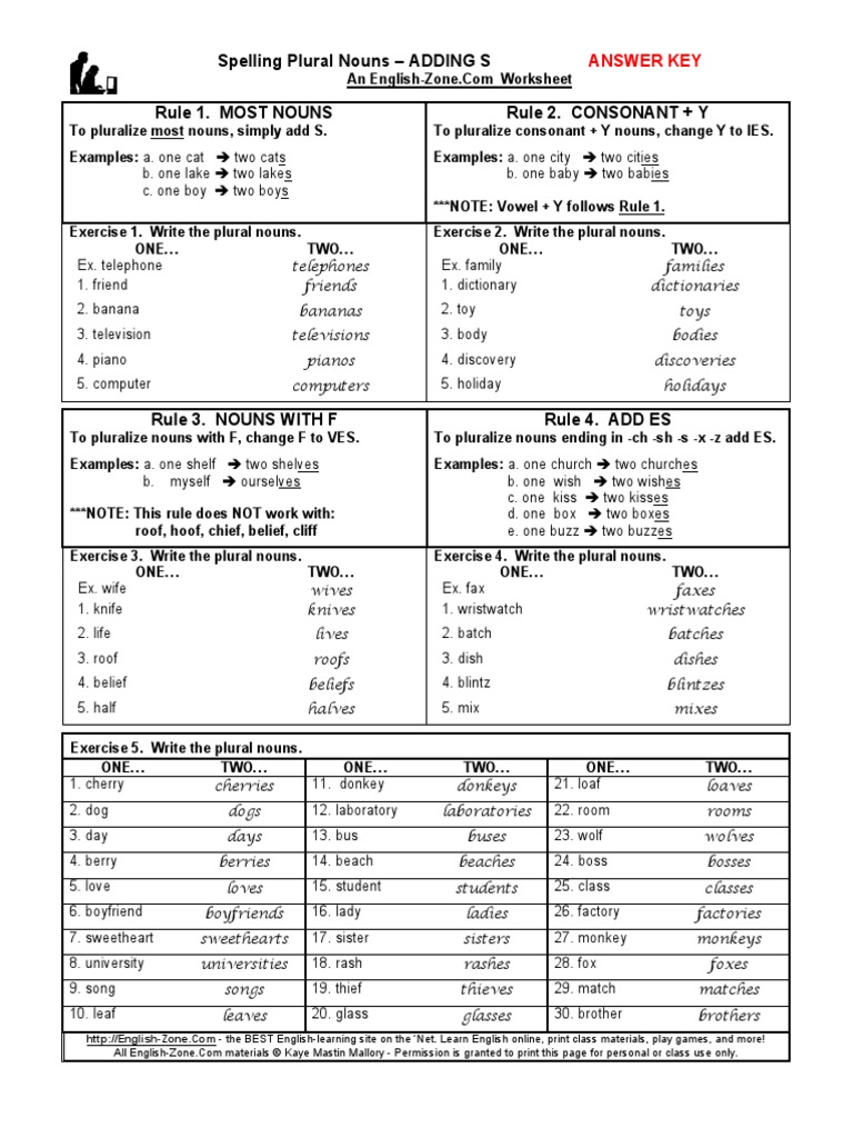 Spelling Plural Nouns - ADDING S Rule 1. Most Nouns Rule 2. Consonant ...