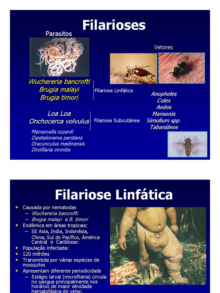 filarioses_med | Veterinary Medicine | Public Health