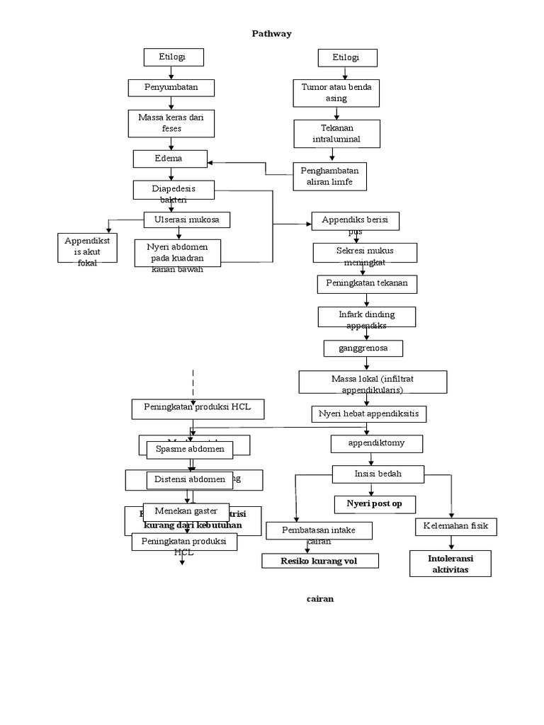 Pathway Nyeri Abdomen dan Appendiksitis | PDF