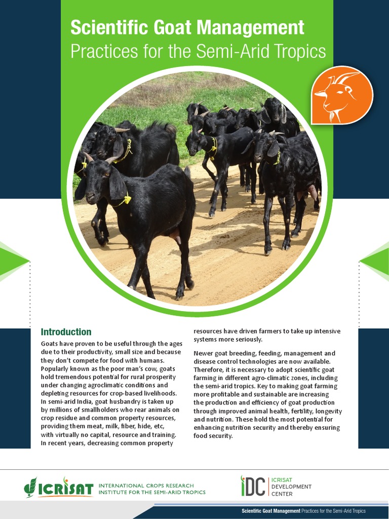 Flyer Goat Management Final | PDF | Goat | Agriculture