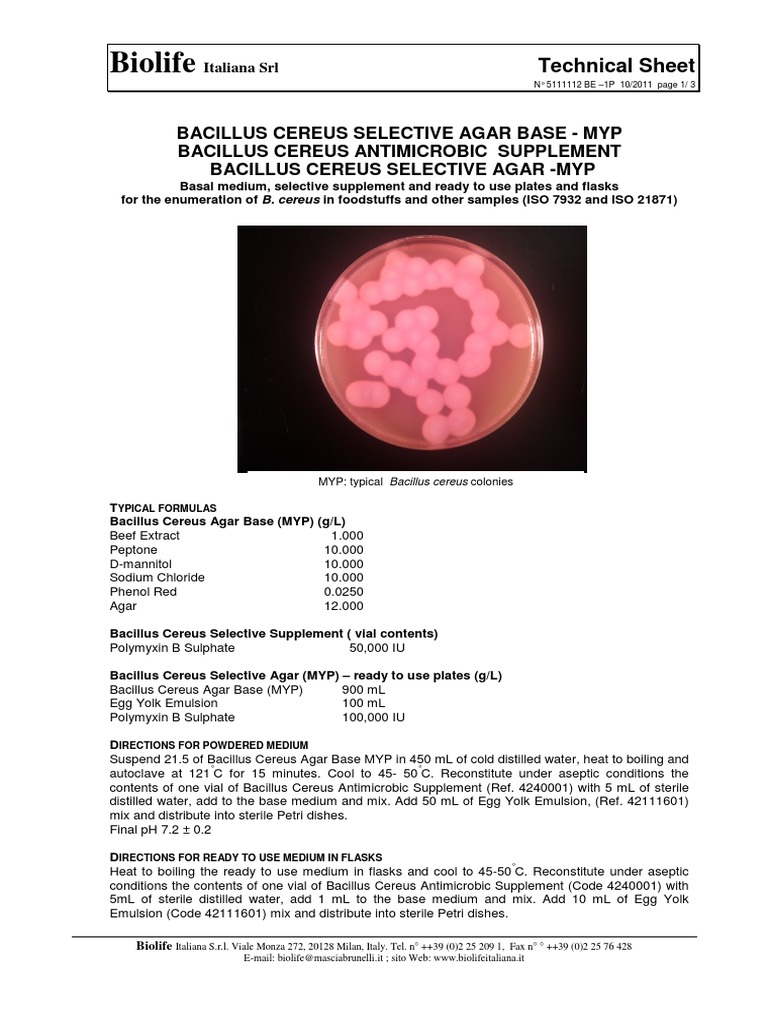Bacillus Cereus Mannitol Salt Agar