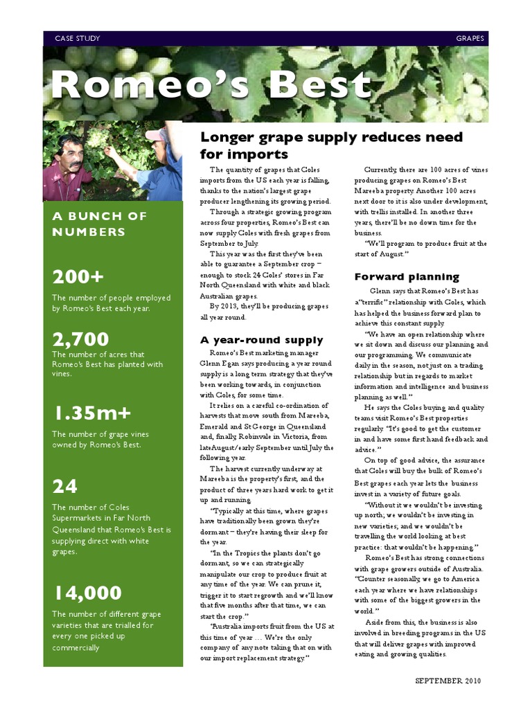 Romeo's Best: Longer Grape Supply Reduces Need For Imports | PDF ...
