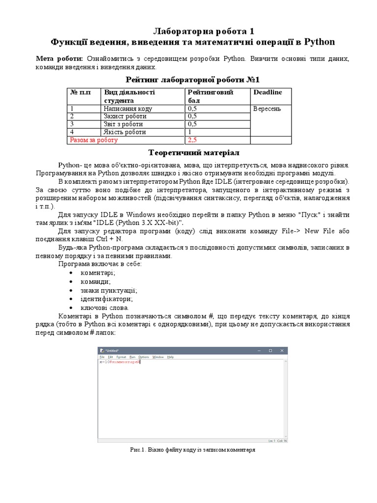 LabWork#1 Input Print Expression Python | PDF