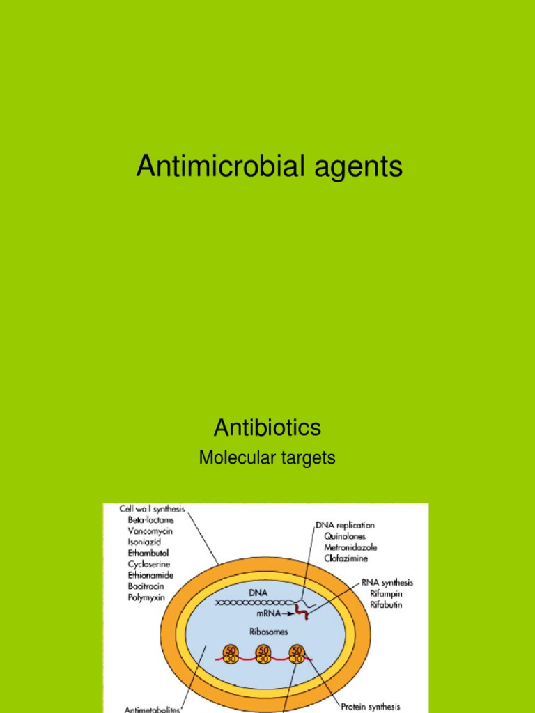 1 Antimicrobials2 | PDF | Ribosome | Antimicrobial Resistance