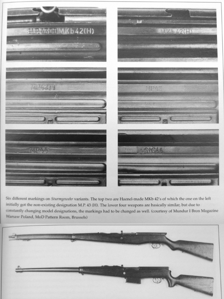 STG 44 | PDF