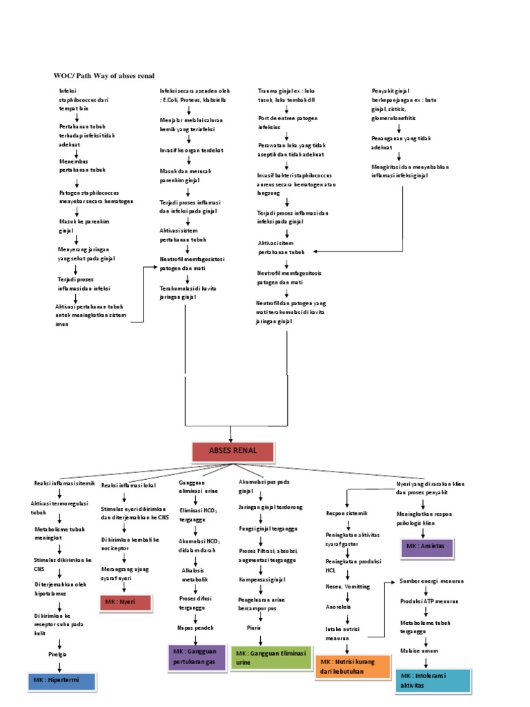WOC/ Path Way of Abses Renal | PDF