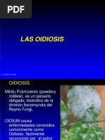 Oídium: Impacto en Cultivos Agrícolas | PDF | Organismos | Plantas