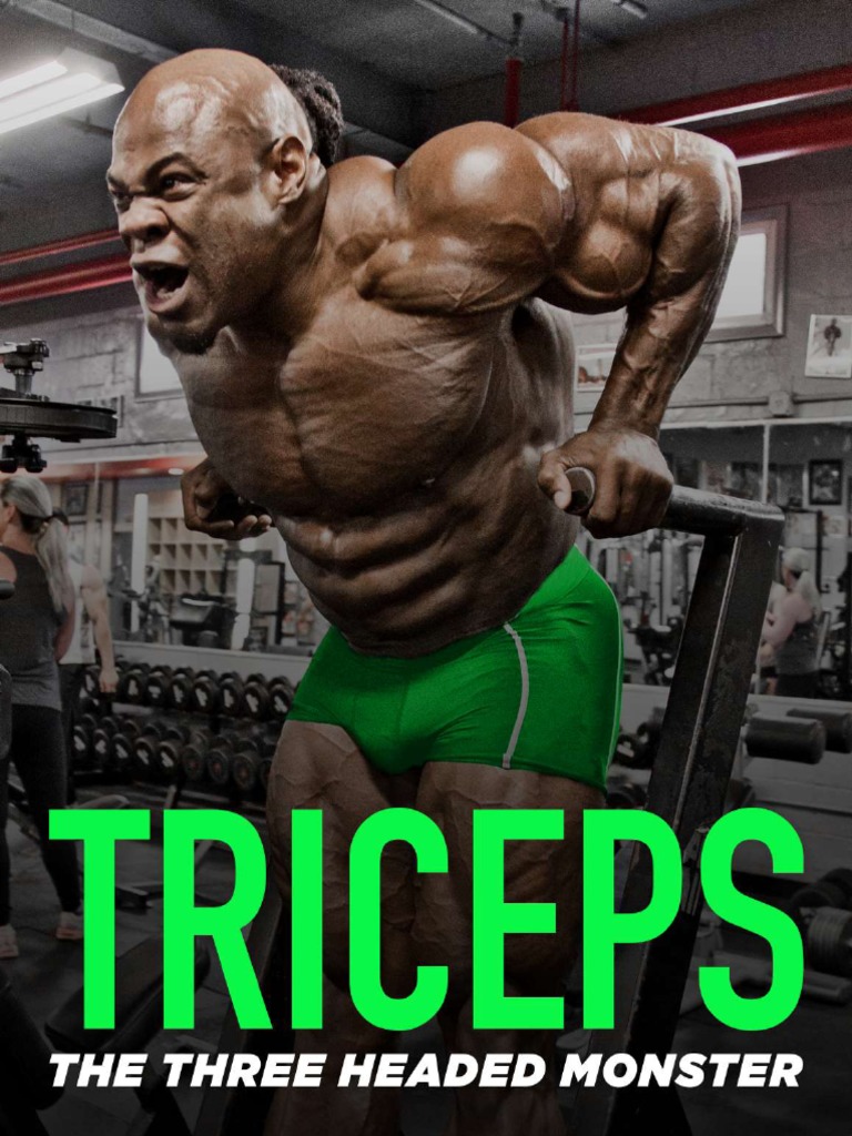 Triceps The Three Headed Monster PDF | PDF | Elbow | Anatomical Terms ...