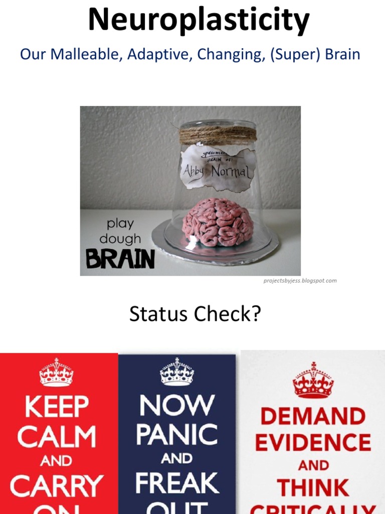 Our Malleable, Adaptive, Changing, (Super) Brain | PDF | Long Term ...