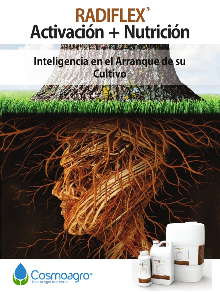 Volante Radiflex | PDF | Plantas Domesticadas | Frutas comestibles