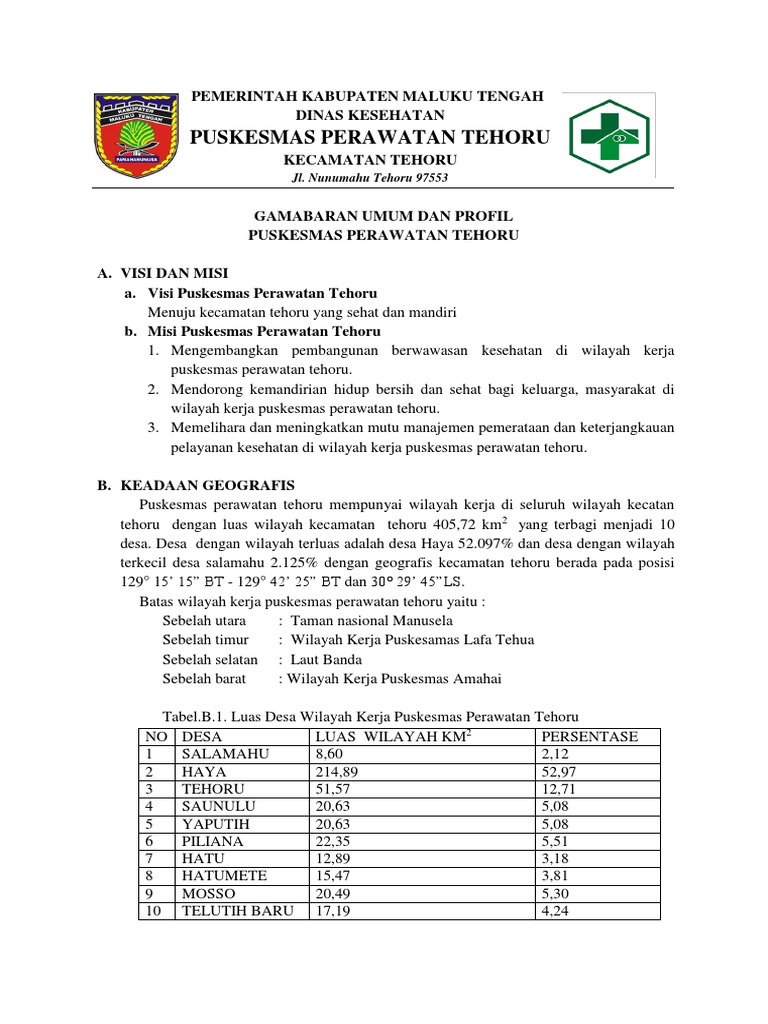 Contoh Profil Puskesmas | PDF